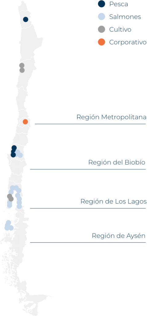 Camanchaca en una mirada - Camanchaca