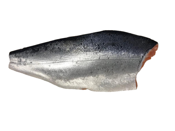 Filete Coho - Camanchaca