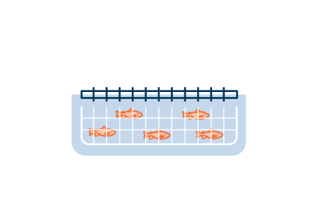 Filete Coho - Camanchaca