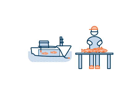 Entero/HG Coho - Camanchaca