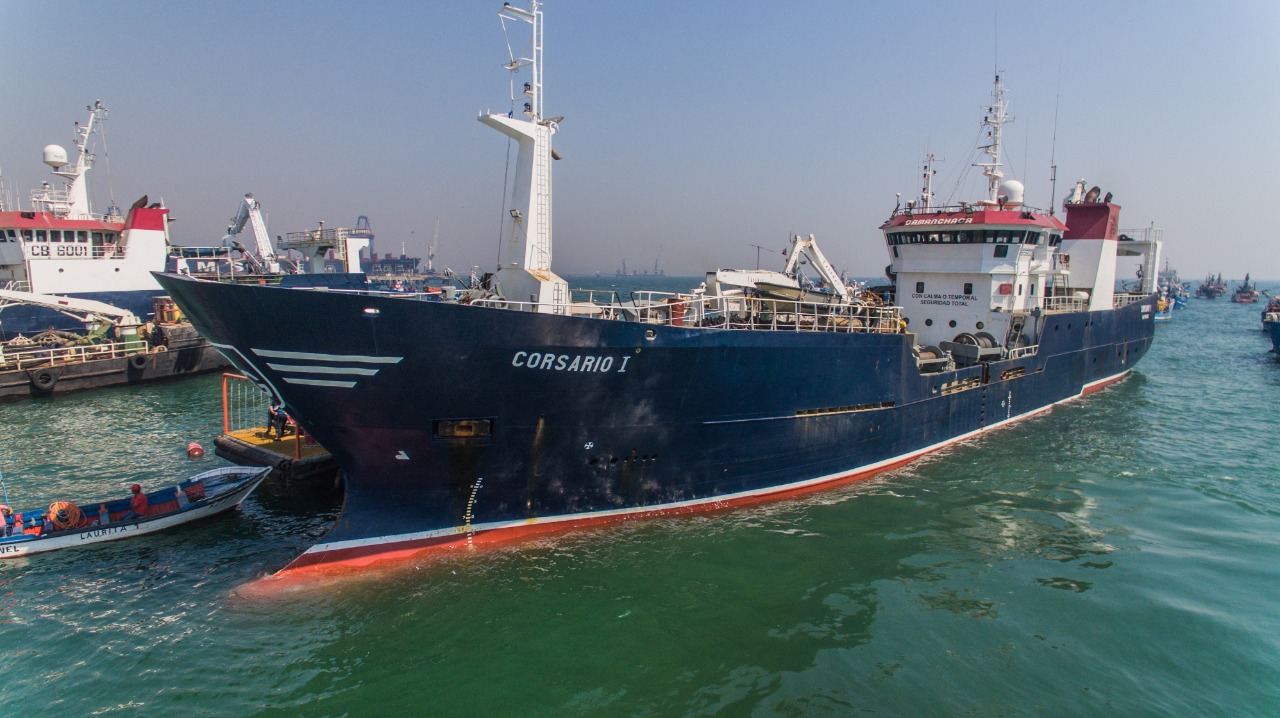 Camanchaca mitiga menor desempeño en Salmones con buenos resultados en ...