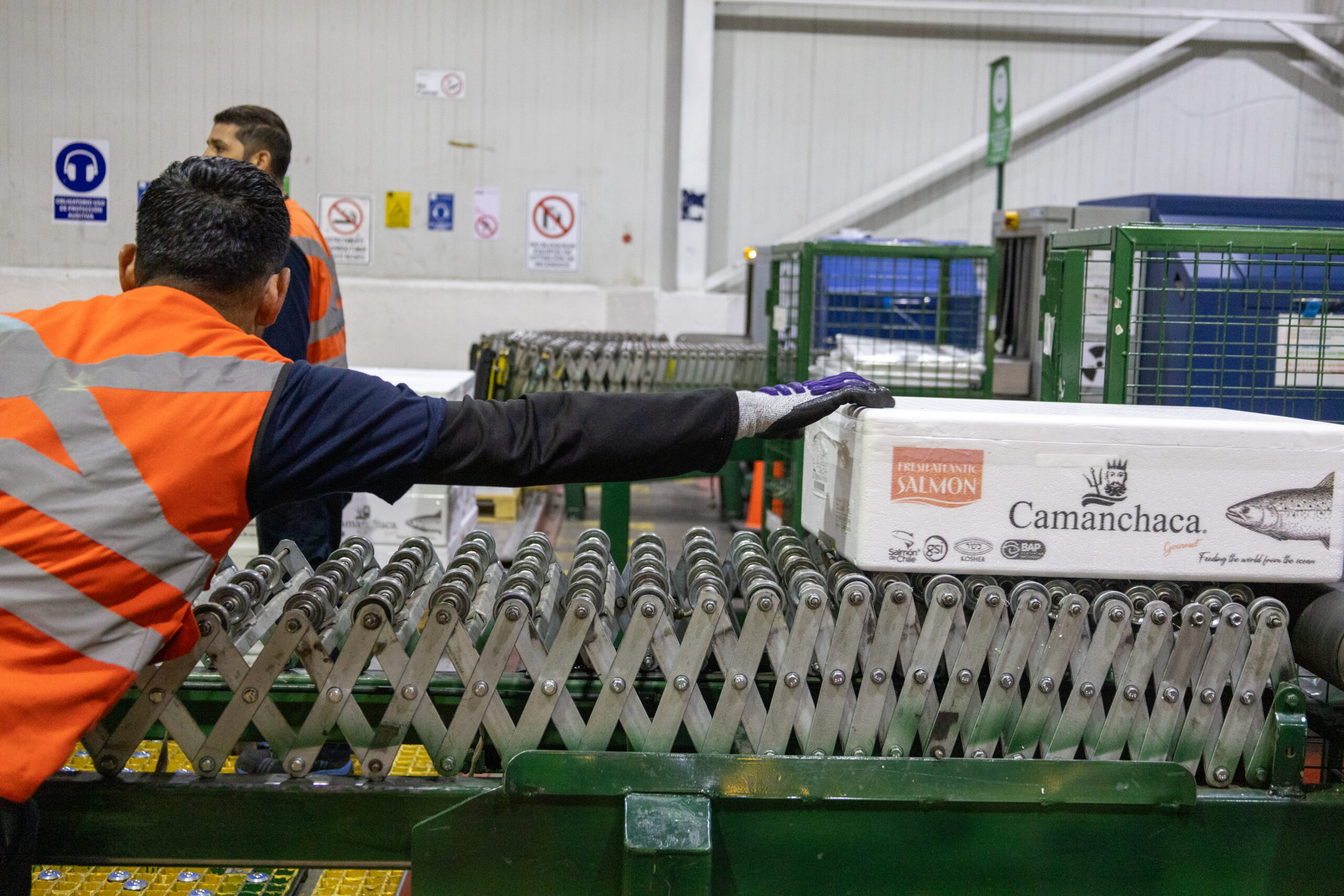 Salmones archivos - Camanchaca