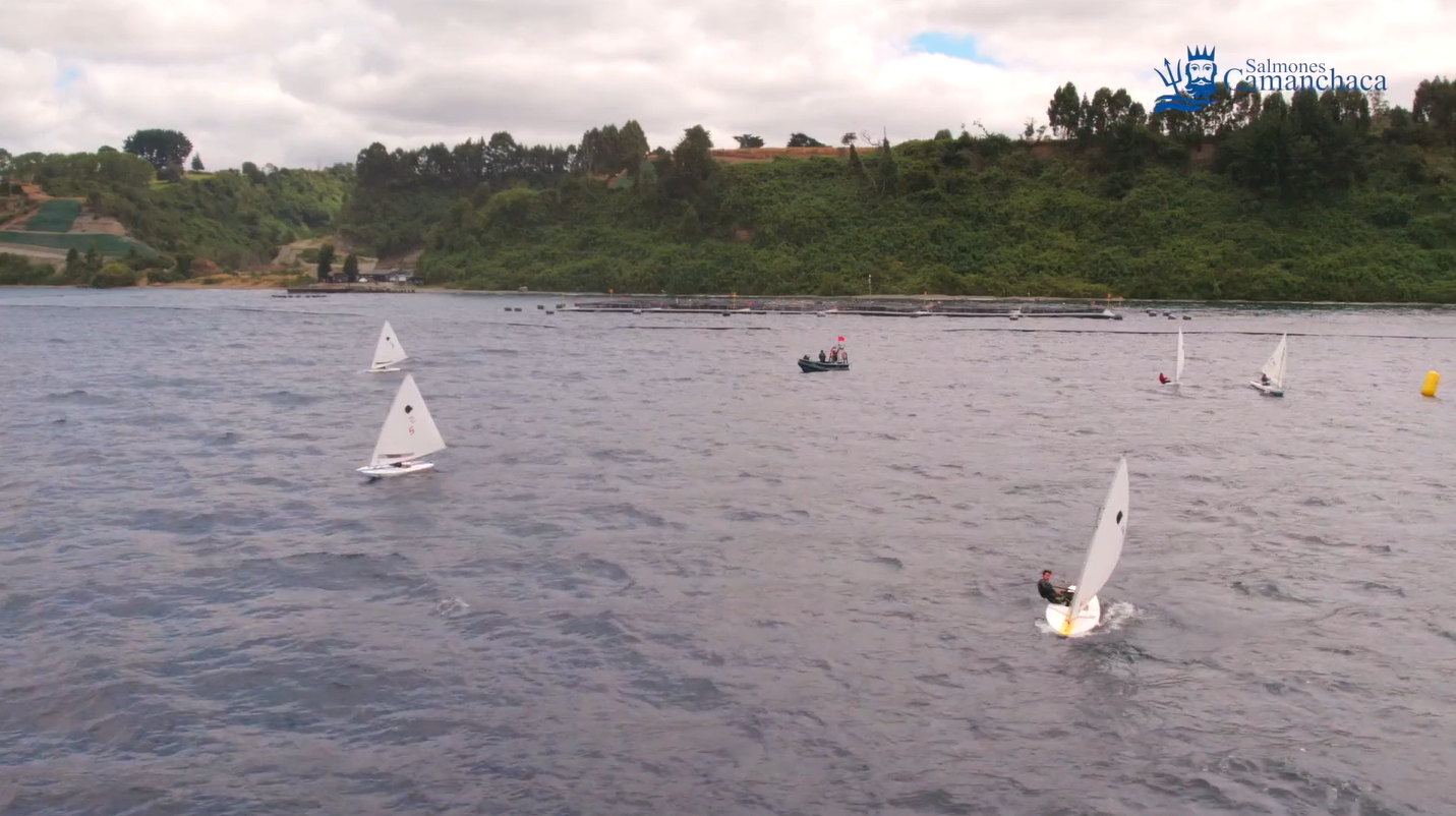 Octubre 2022: Con Barcazas que recolectan reciclaje y clases de kayak ...